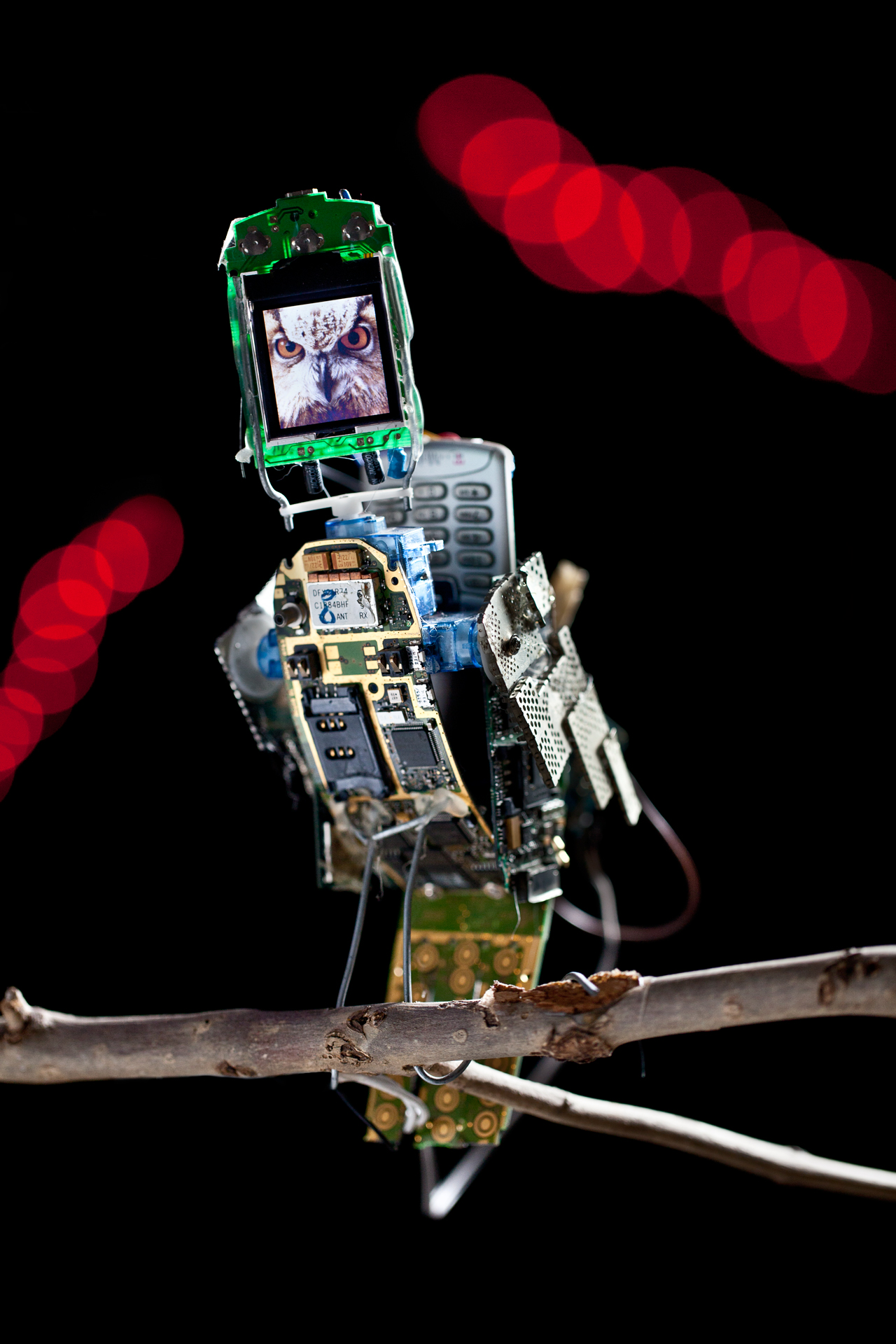 Portfolio - Neil Mendoza