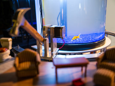 Fish Hammer - Neil Mendoza